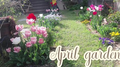 꽃이 가득한 4월의 정원 가꾸기 튤립이 피고 마당엔 꽃향기로 가득해요 가드닝 봄꽃 정원꾸미기 Youtube
