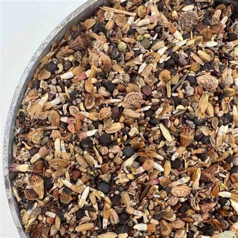 Buy Wildflower Seed Mixes Online Kent Wildflower Seeds