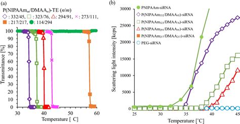 Lcst Of Pnipaammdmaan Polymers And Polymer Sirna Conjugates A