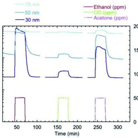 Pore Classification By The Iupac According To The Size Download Table