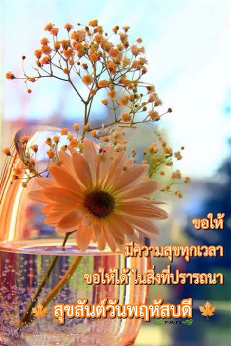 Happy Thursday Dandelion Flowers Plants Movie Posters Greetings