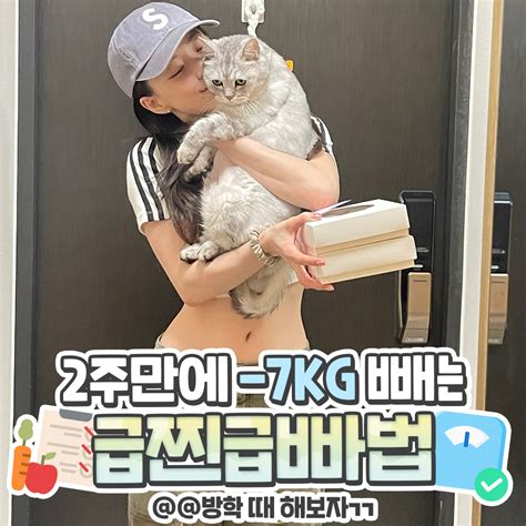 언니의 모든 것 뷰티 패션스타일 코디아이템 다이어트 핫템 방학 맞이 다이어트 14일만에 7키로 감량법zip 방학에 살 빼서 새로운 모습으로 등교하자 •̀ ω •́