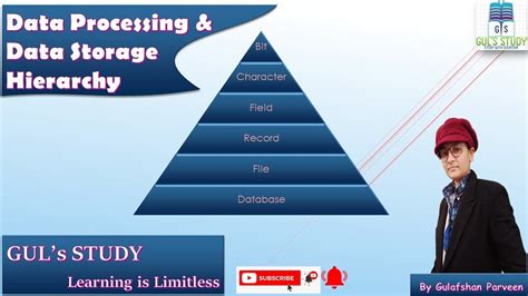 Data Storage Hierarchy