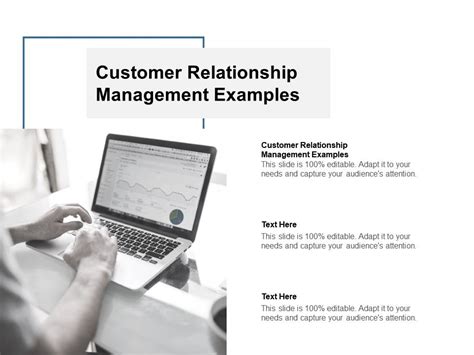 Customer Relationship Management Examples Ppt Powerpoint Presentation