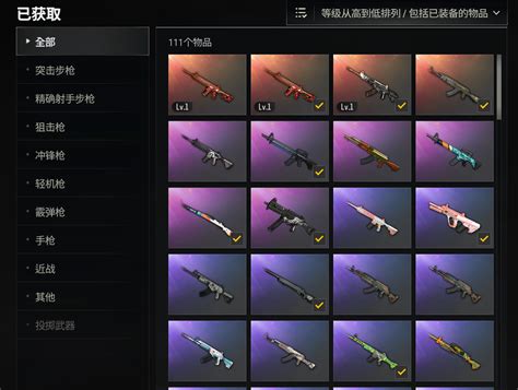 可排位 双成长 2级朱雀m4 恶魔ace32 绷带ak 电镀m762 蛋糕m4 蛋糕aug 银河sk Pubg吃鸡 全区 全服