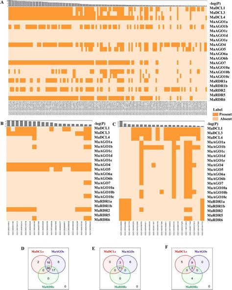 The Heatmap For The Predicted Go Terms Corresponding To The Predicted The Heatmap For The Predicted Go Terms Corresponding To The Predicted