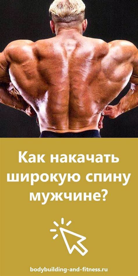 Как накачать широкую спину в домашних условиях и тренажерном зале Культурист Армейский жим