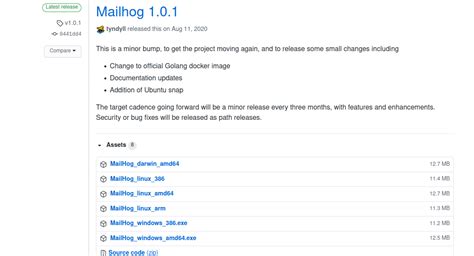 mailhog how to use it to test emails locally