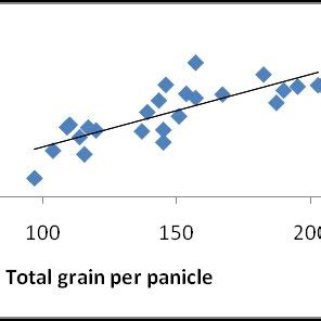 Relationship Between Grain Yield And Total Grain Per Panicle