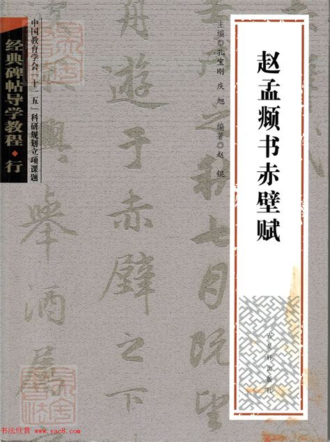 经典碑帖导学教程赵孟頫书赤壁赋 偏旁篇 书法图书 书法欣赏