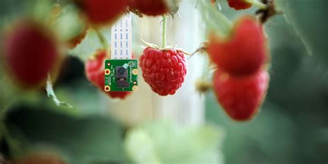 How To Set Up A Raspberry Pi Camera Module