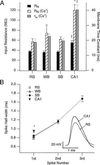 Passive Membrane And Firing Properties Of Pyramidal Neurons A Input Download Scientific