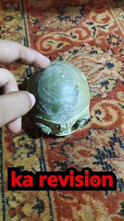 Day 26 Minivlog Cybersecurity Hackingblog Ethicalhacking Trending Advancedhacking