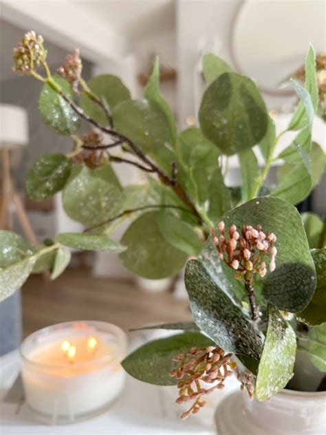 Frosted Eucalyptus Stem With Berries Perfectly Lovely Interiors