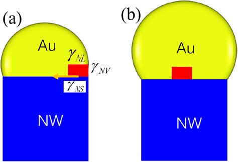 Two Possible Nucleation Modes A Tpl Nucleation B Center Nucleation Download Scientific
