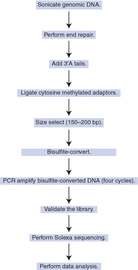 Illumina Sequencing Flow Chart A Visual Reference Of Charts Chart Master