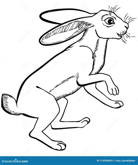 Vector Illustration Of Hare Rabbit Black And White Stock Vector Illustration Of Hare Cheerful
