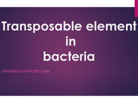 Transposable Elements In Eukaryotes Online Biology Notes