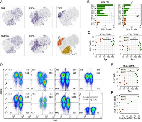 Pnas Cd T