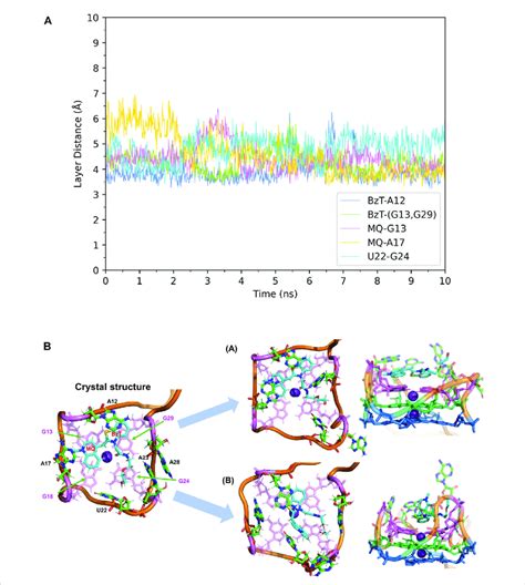 Structural Analysis Of Md Simulation On Mango Ii Mutant A22u With Download Scientific Diagram