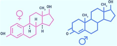 Endocrine Disease Ivd Solutions Alta Diagnotech