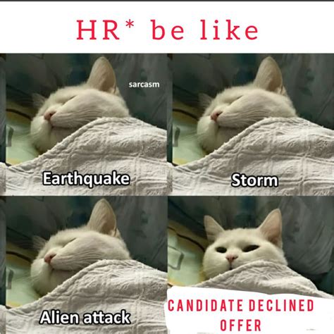 Sneha Mohan On Linkedin Being Into Recruitment Industry This Is