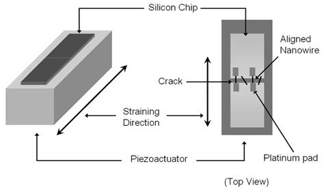 Schematic Of The Experimental Setup For Measuring Fracture Strain Download Scientific Diagram