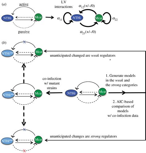 How To Calculate Cfu Ml Mabidrochimin