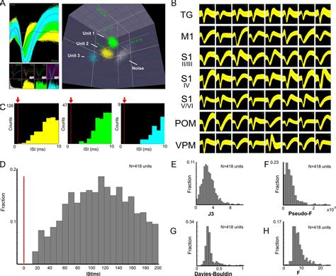 Simultaneous Top Down Modulation Of The Primary Somatosensory Cortex