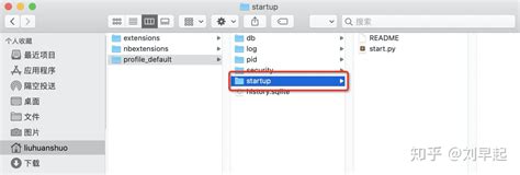 How To Pass Parameters When Running Python Code In Jupyter Notebook Programmer Sought