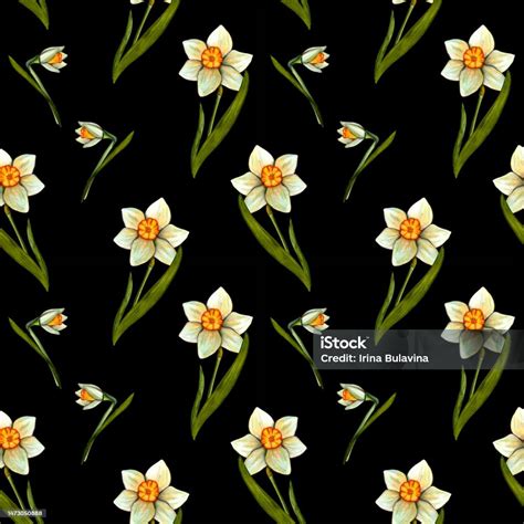 원활한 패턴입니다 봄 수채화 수선화 줄기와 잎이있는 꽃 봄 식물 프린트 0명에 대한 스톡 벡터 아트 및 기타 이미지 0명 4월 개체 그룹 Istock
