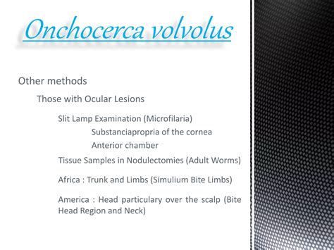 Onchocerca Volvulus Pptx