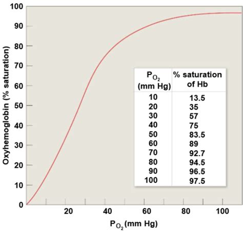 l 15 control of respiration oxygen hb saturation curve flashcards