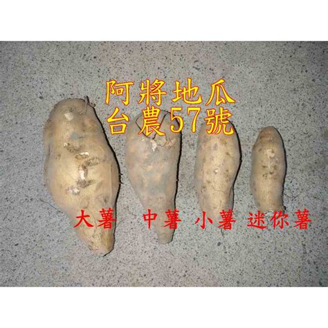 阿將水林地瓜 台農57號黃金養生薯 以重量計價 蝦皮購物