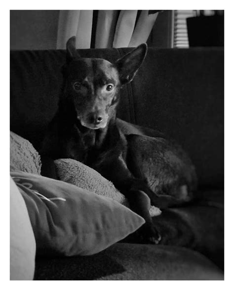 By Midnightlady9 On Deviantart