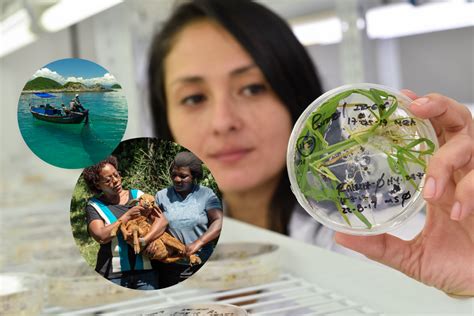 Nitrogen Fertilization Strategy For Swiss Winter Wheat Under Climate Induced Rainfall Reduction