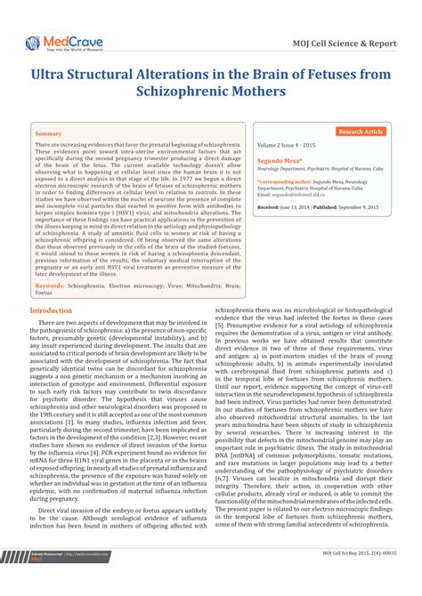 Pdf Ultra Structural Alterations In The Brain Of Fetuses From Schizophrenic Mothers