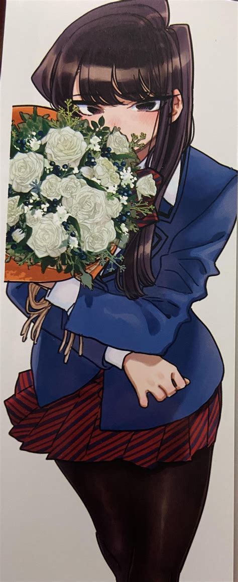 Winter Komi R Komi San