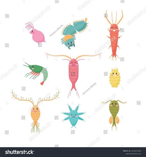 Small Crustaceans Tiny Microscopic Representatives Marine Stock Vector Royalty Free 2216231383