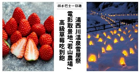 도치기 버스 일일투어 일본의 야경유산 유니시카와 온천 이글루 축제 And 영화 촬영지로 유명한 와카야마 농장에서 엄선된 현지 식재료 And 프리미엄 딸기 무한리필and죽림