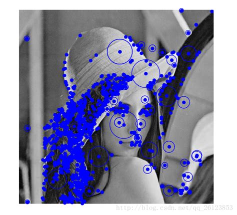 【懒懒的计算机视觉笔记之sift角点检测】使用sift算子进行兴趣点检测 Csdn博客