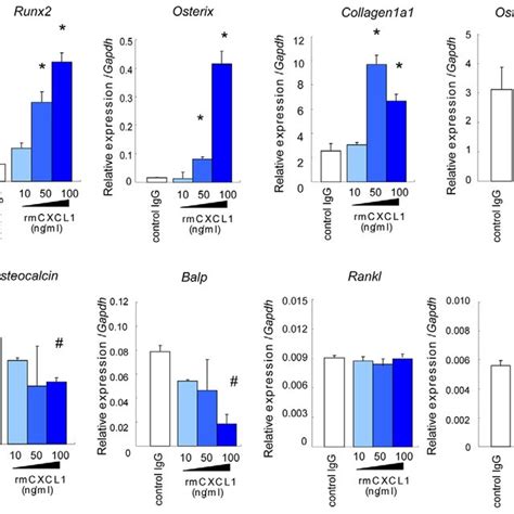 Enhancement Of Runx2 And Osterix Expression By Treatment With