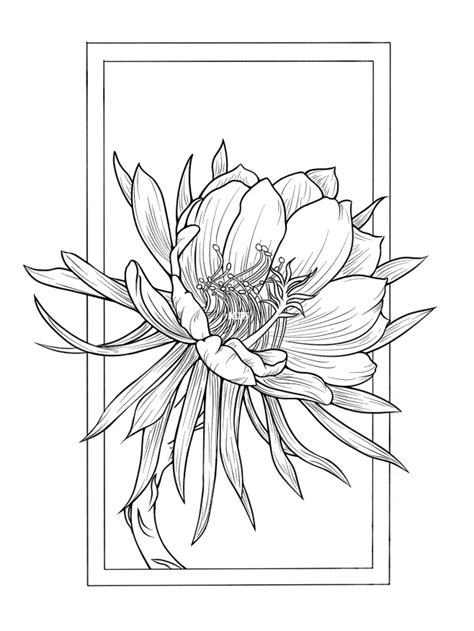 控线临摹练习｜新手画画快速有效练线条 ️ 花瓣网