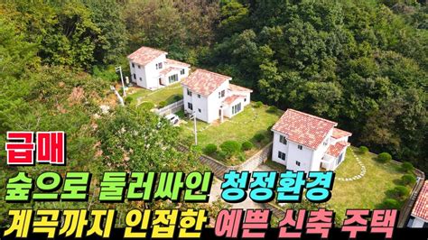 강추 울창한 숲으로 둘러싸인 청정환경 깨끗한 계곡이 자리한 예쁜 신축 전원주택 고급 자재 사용으로 품격을 더 했습니다 힐링하우스tv 강원도 춘천시 Youtube