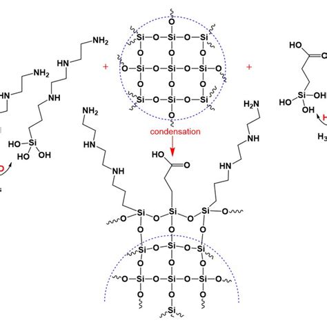 Schematic Illustration Of Silica Particles Modified With Detas Left Download Scientific