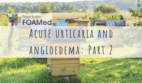 Acute Angiodema And Urticaria Part 2 Paediatricfoam