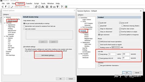 Secure CRT远程连接很快断线问题 知乎