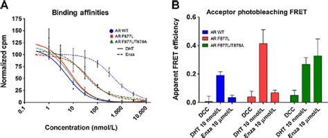 Ligand Binding Affinities And Nc Interactions A Experimental Binding Download Scientific