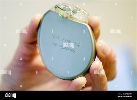 Heart Pacemaker Demonstrator Held In A Hand Pacemakers Are Fitted In