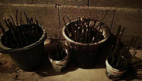 გვიან ღამით დავასრულე მუშაობა სოფლის შენებას რა უნდა Facebook